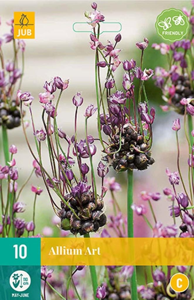 Allium art 10 bollen - DeOosteindeOnline.nl