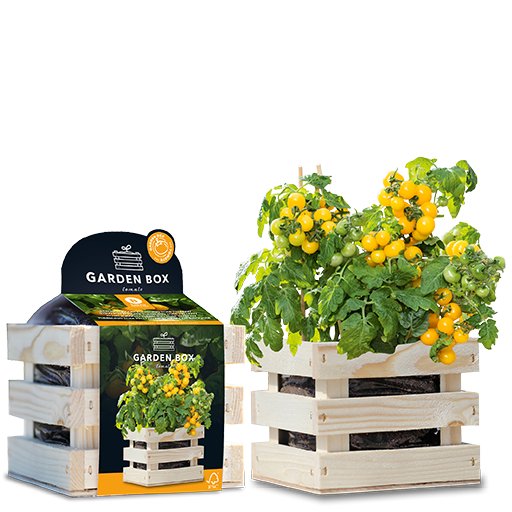 Baza garden box tumbling tom yellow - DeOosteindeOnline.nl