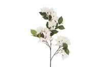 Decostar Bougainvillea 76 cm wit - DeOosteindeOnline.nl