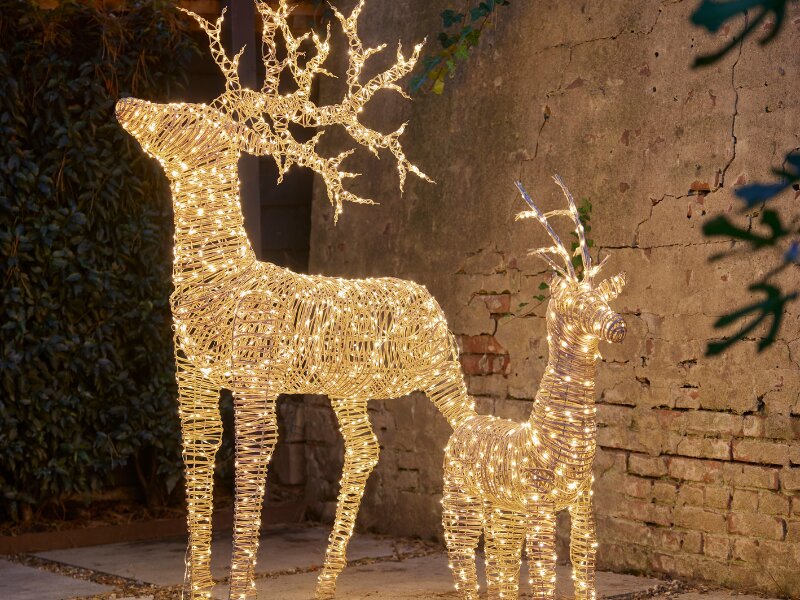 Kerstverlichting buiten | deOosteindeOnline.nl - DeOosteindeOnline.nl