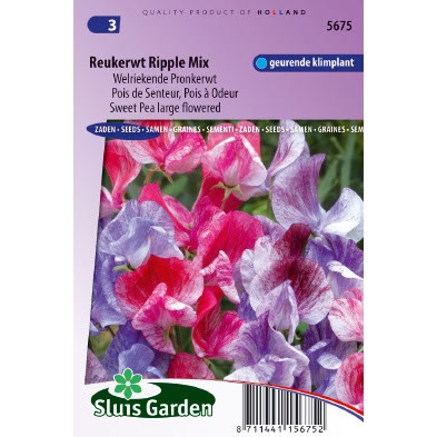 Lathyrus Odoratus zaden Ripple Formula Mix reukerwt - DeOosteindeOnline.nl