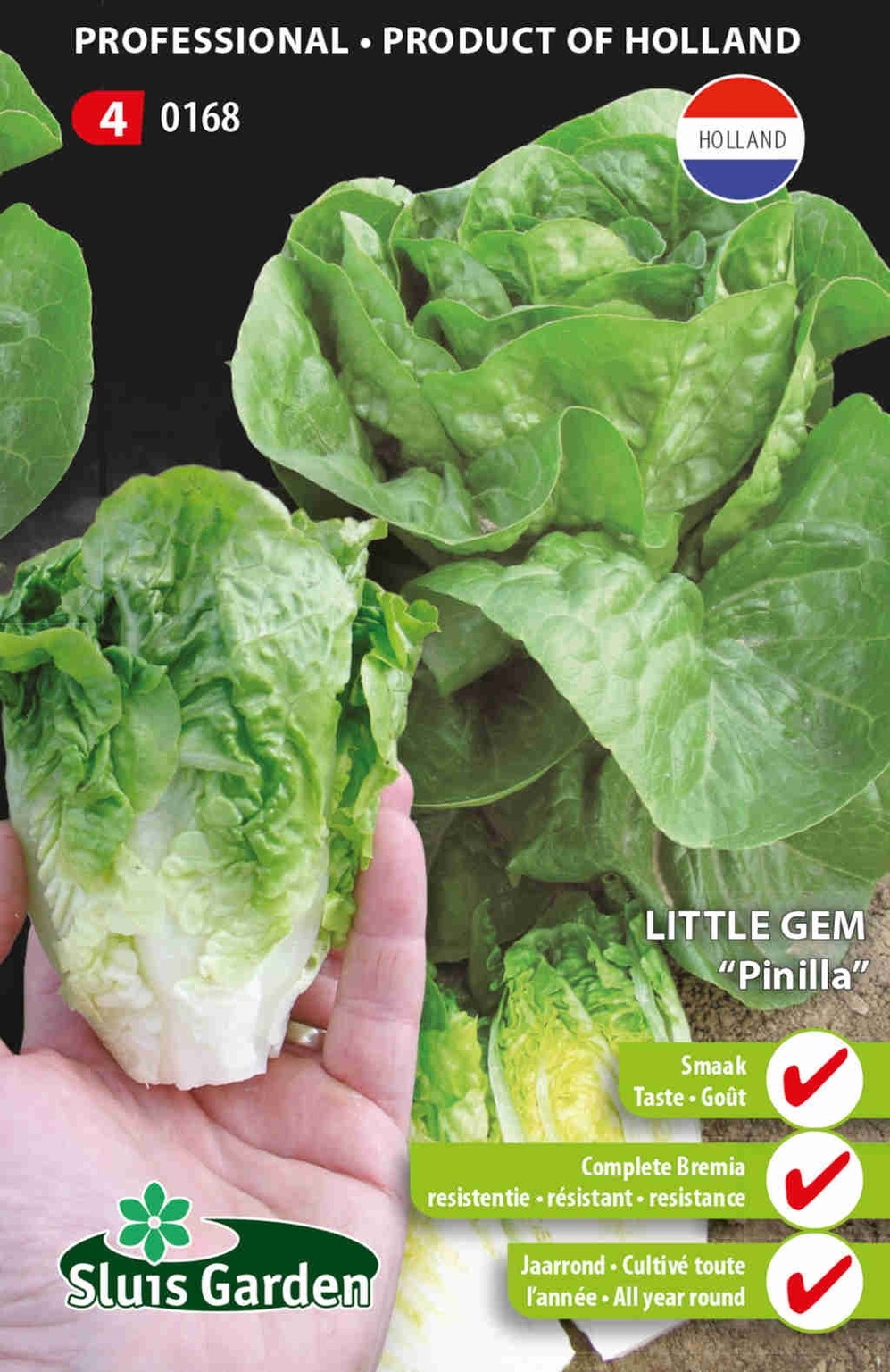 Sla Little Gem Pinilla zaden - DeOosteindeOnline.nl